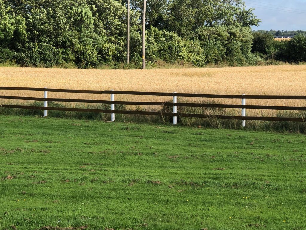 Fiberglass Anti Rot Fence Posts | FlagPoles Ireland